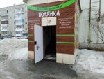 Полянка (Naberezhnaya ulitsa No:17), market  Pervouralsk'tan