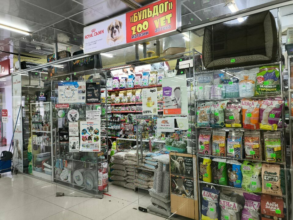 Petshop Buldog, Çeliabinsk, foto
