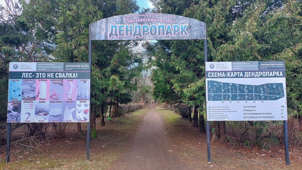 Kültür ve eğlence parkları Дендропарк, Vitebskaya oblastı, foto