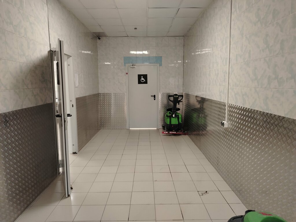 Engelliler için tuvalet Туалет для инвалидов, Omsk, foto