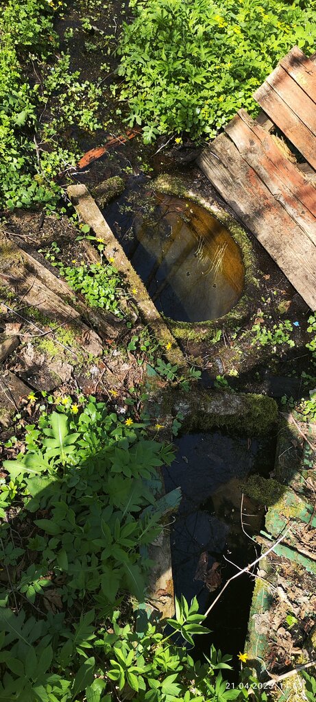 Pınar, çay Черница, Mogiliovskaya oblastı, foto