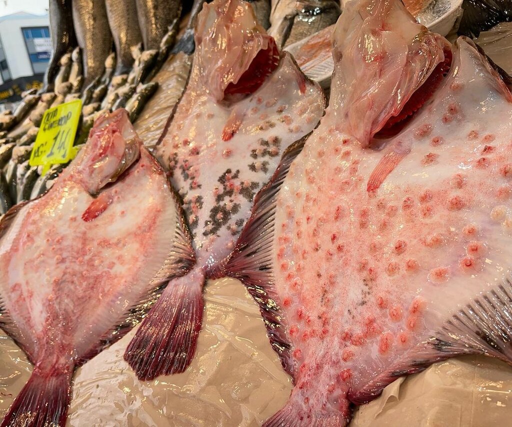Restoran Bizim Balıkçı, İstanbul, foto