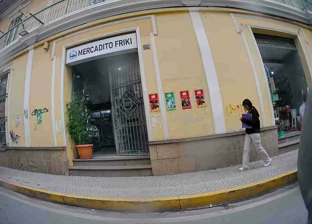 Bahçecilik mağazaları Mercadito Friki, Cochabamba, foto