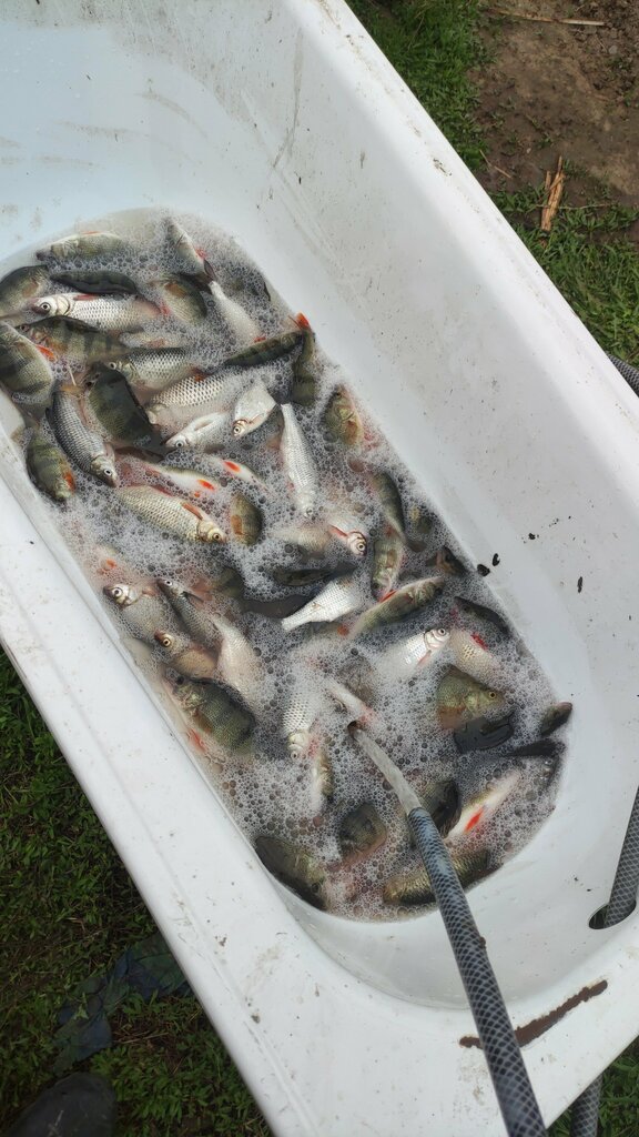 Konuk evi Гостевой дом для рыбаков и охотников, Astrahanskaya oblastı, foto