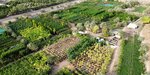 Al Qalamoon Nurseries (The First Tower, Majaz 3, Al Majaz), peyzaj tasarımı  Sharjah'tan