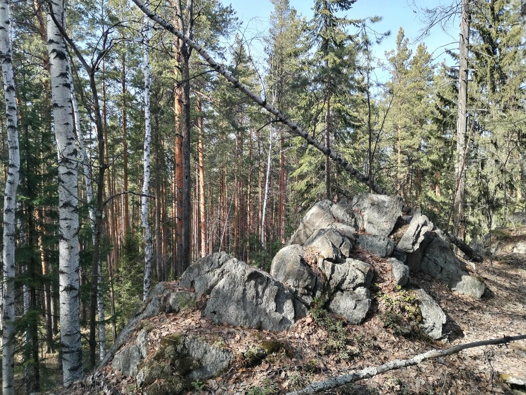 Dağ zirvesi Гора Змеёныш, Sverdlovskaya oblastı, foto