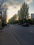 Улица Шишкина (улица Ерёменко No:58А), toplu taşıma durağı  Rostov‑na‑Donu'dan