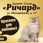 Ричард (Molodyozhnaya ulitsa No:17), evcil hayvan kuaförleri  Dzerjinsk'ten