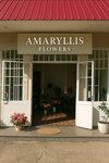 Amaryllis Flowers (Vardanants Street No:47/1Տ), çiçekçiler  Vanadzor'dan