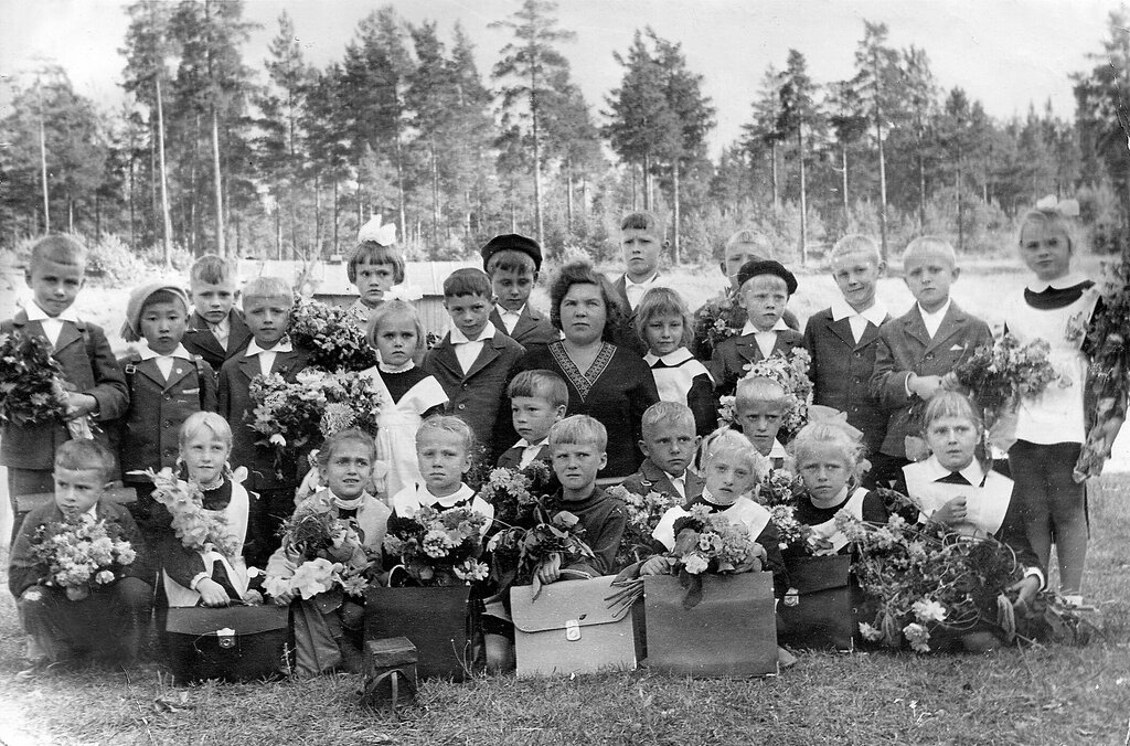 Ortaokul Sapernovskaya shkola Srednego Obshchego Obrazovaniya, Saint‑Petersburg ve Leningradskaya oblastı, foto