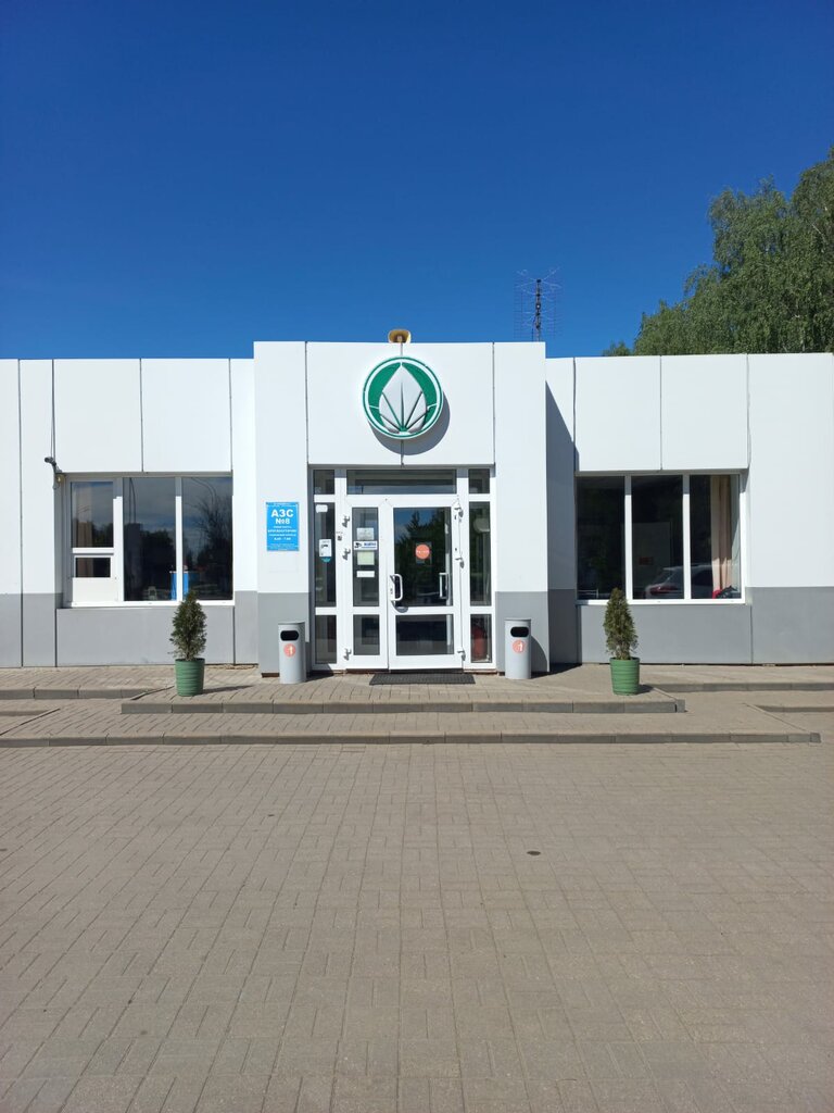 Benzin istasyonu Alyans Eko, Tambovskaya oblastı, foto