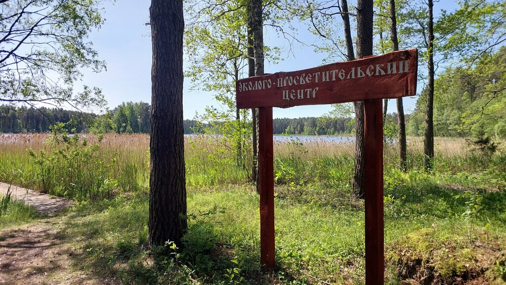 Turistik yerler Пешеходный экологический маршрут Большой Гребёл, Pskovskaya oblastı, foto