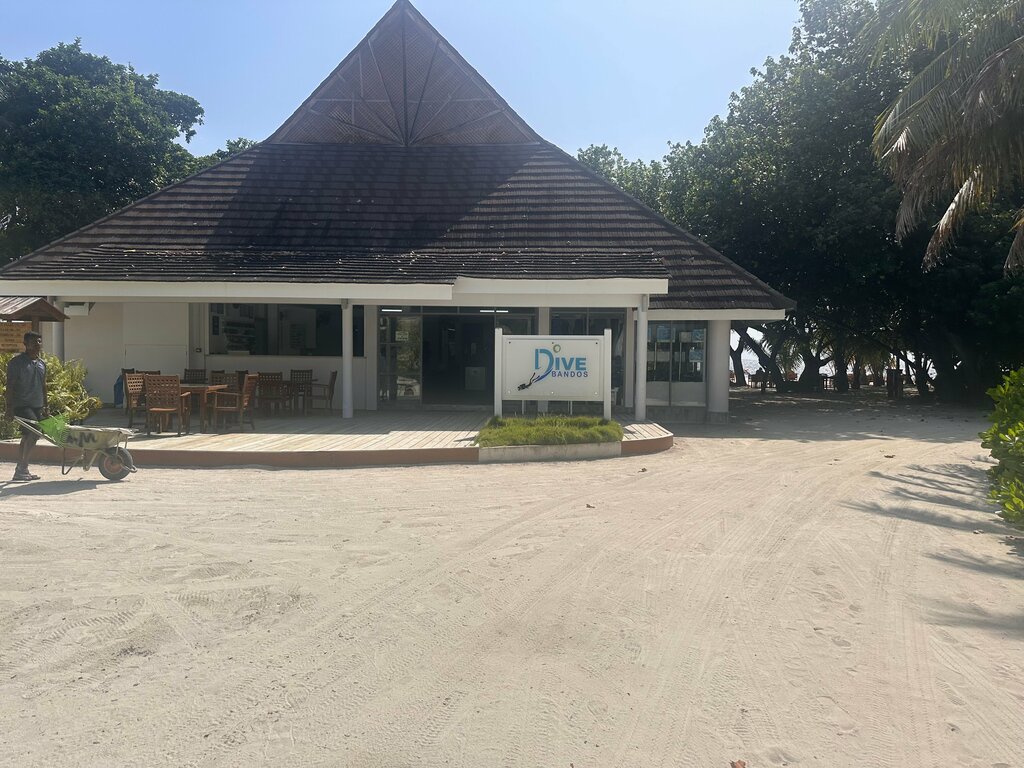 Dalış kulüpleri ve eğitim merkezleri Dive Bandos, , foto