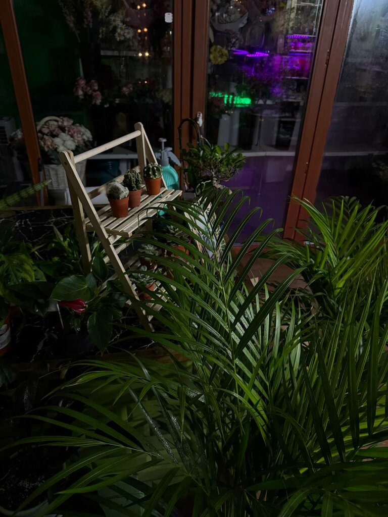 Çiçekçiler The garden, Vidnoye, foto