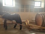Дворцовый конный завод (Suzdalskoye shosse No:13), turistik yerler  Gavrilov Posad'dan