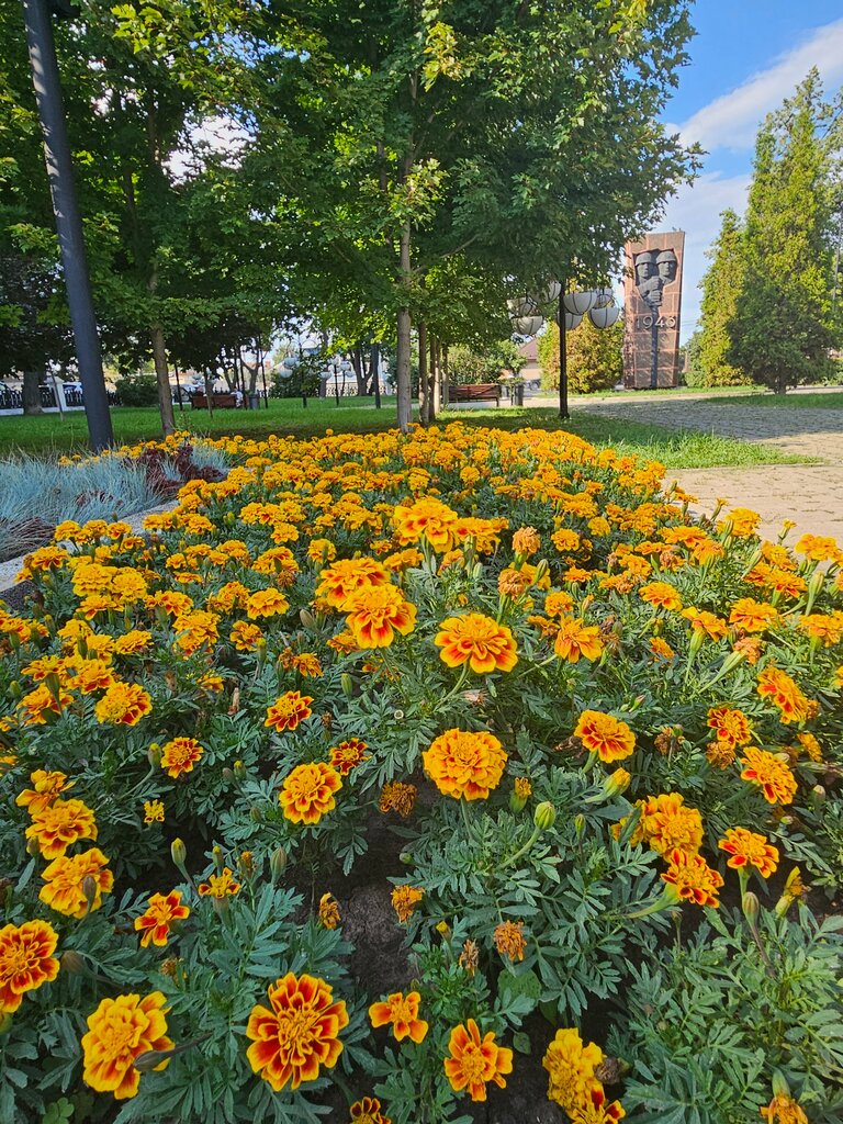 Meydan Margelov Public Garden, Riazan, foto