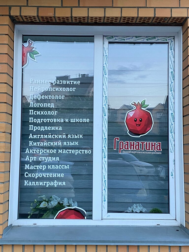 Çocuk ve gençlik merkezleri Гранатика, Novosibirsk, foto