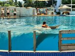 Dolphin Therapy Land (Antalya, Kemer, Merkez Mah., Yalı Cad., 16/14D), özel muayenehaneler  Kemer'den