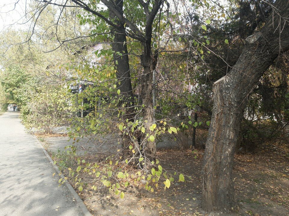 Paketleme malzemeleri firmaları My-pack, Almatı, foto