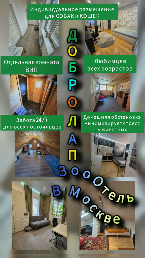 Pet otel Dobrolap zoohotel, Moskova ve Moskovskaya oblastı, foto