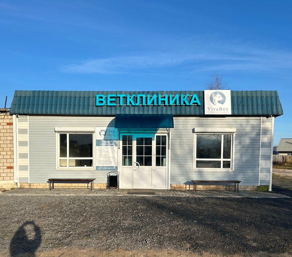 Veteriner klinikleri VivaVet, Brianskaya oblastı, foto