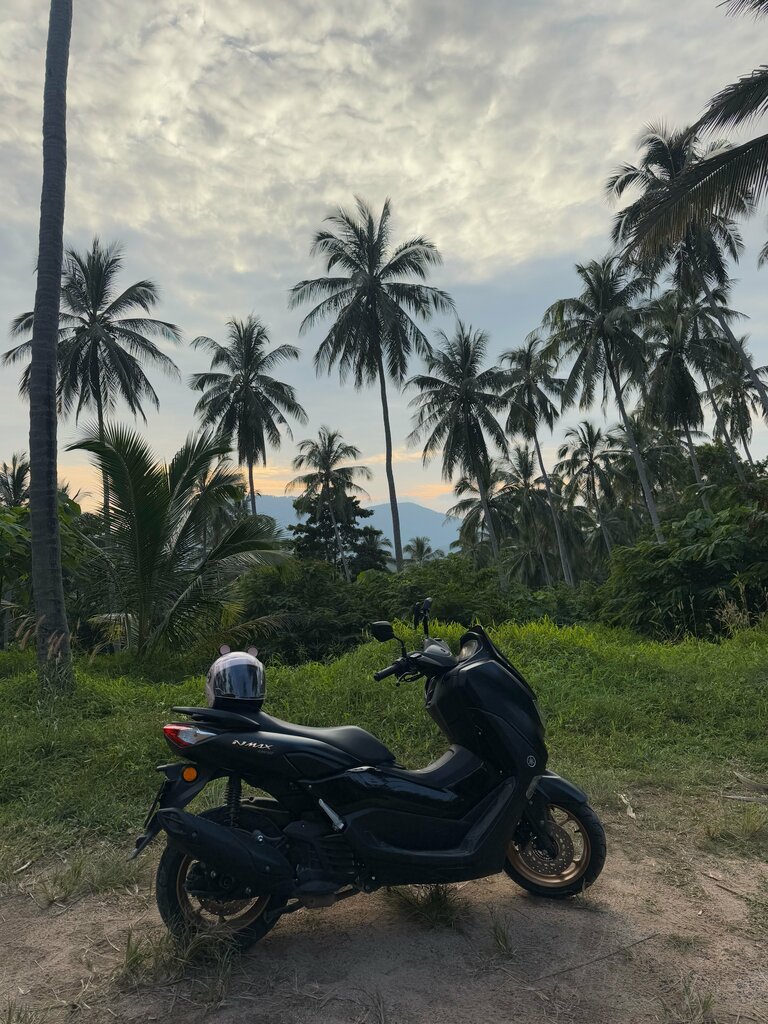 Oto kiralama Samui Rental Service, Samui, foto