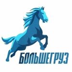 Bolshegruz (Kashirskiy pereulok No:68), otomobil yedek parçaları  Bronnitsy'den
