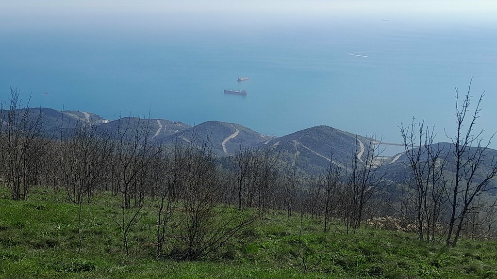 Dağ zirvesi Гора Малый Маркотх, Krasnodarski krayı, foto