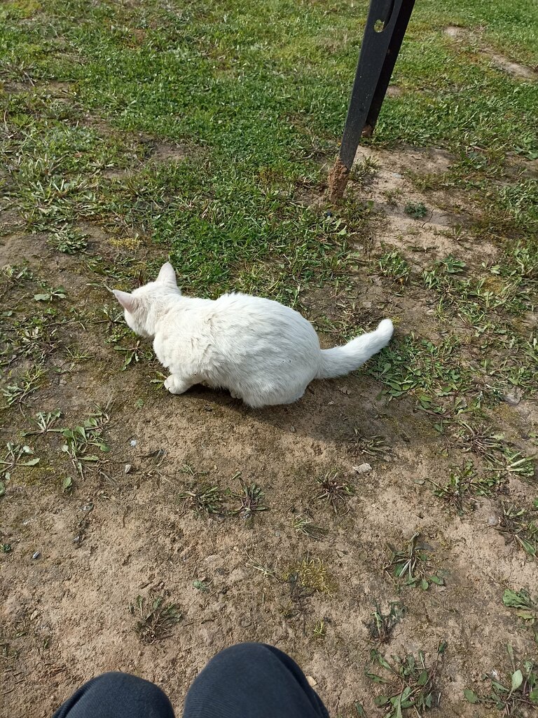 Mühendislik altyapısı Очистные сооружения, Moskova ve Moskovskaya oblastı, foto