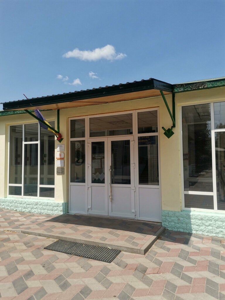 Lise Liceul Teoretic Pro Succes, Kişinev, foto