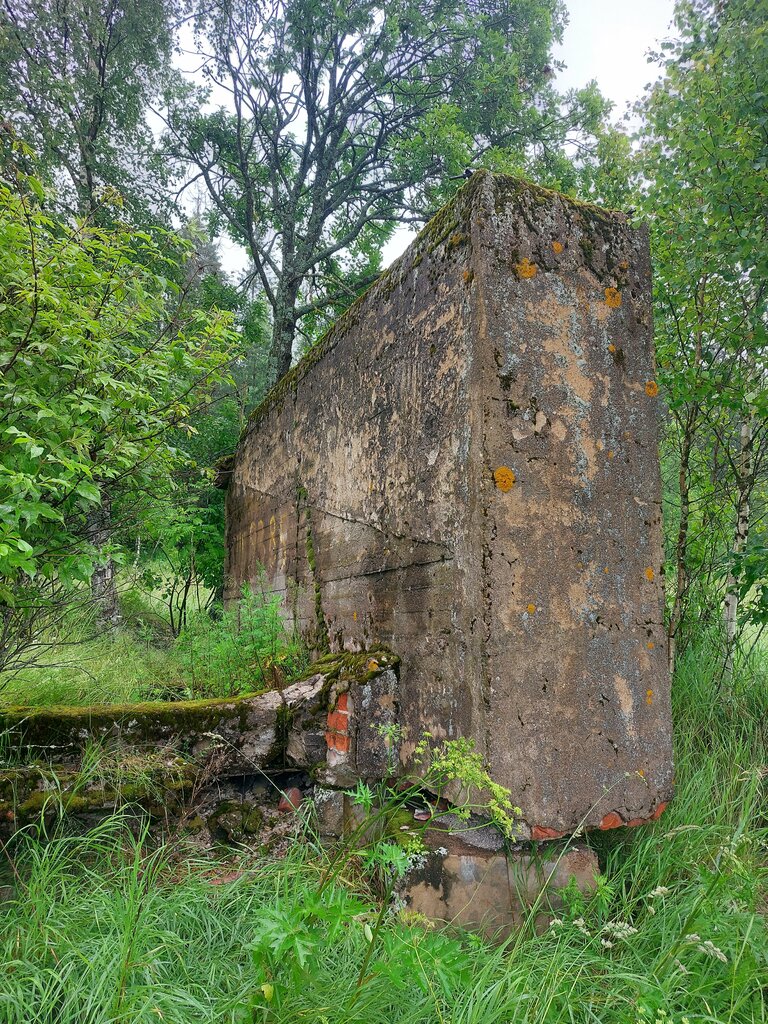 Turistik yerler Финский аэродром Суур-Мерийоки, Vyborg, foto