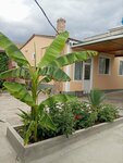 Nazar (улица Ачиклар No:6), otel  Sudak'tan