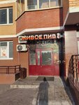 Магазин пива (Zelyonye Allei Boulevard No:7), bira dükkanı  Vidnoye'den