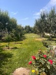 Keremet (Issyk-Kul District, Cholpon-Ata), resort oteller, tesisler  Cholpon‑Ata'dan