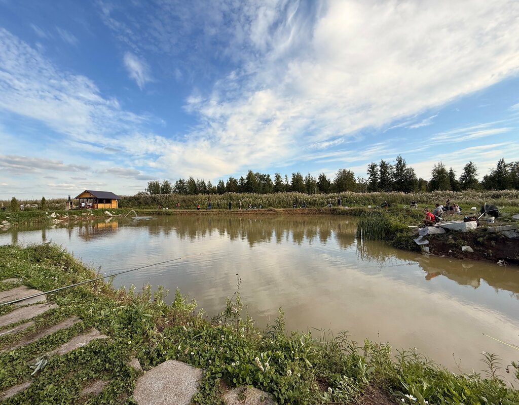 Balık çiftçiliği ve toptancıları 7 Прудов, Çeliabinskaya oblastı, foto