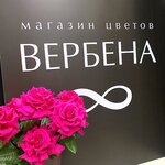 Вербена (No:1Б, posyolok Novy Svet), çiçekçiler  Saint‑Petersburg ve Leningradskaya oblastından