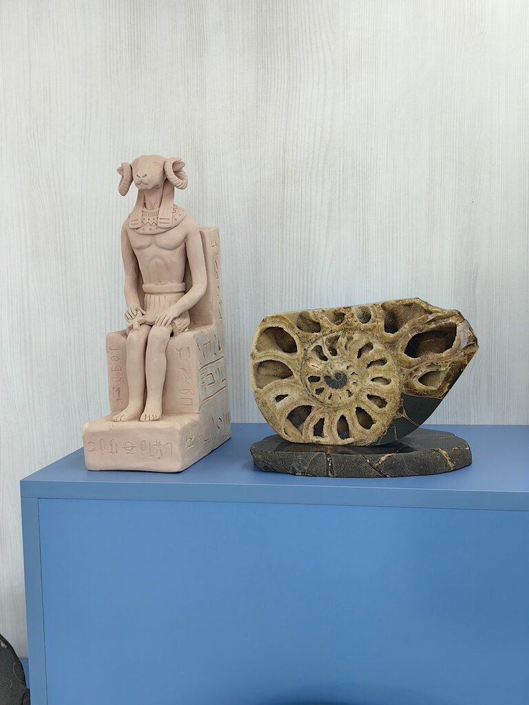 Turistik yerler Выставка аммонитов, Krasnodarski krayı, foto