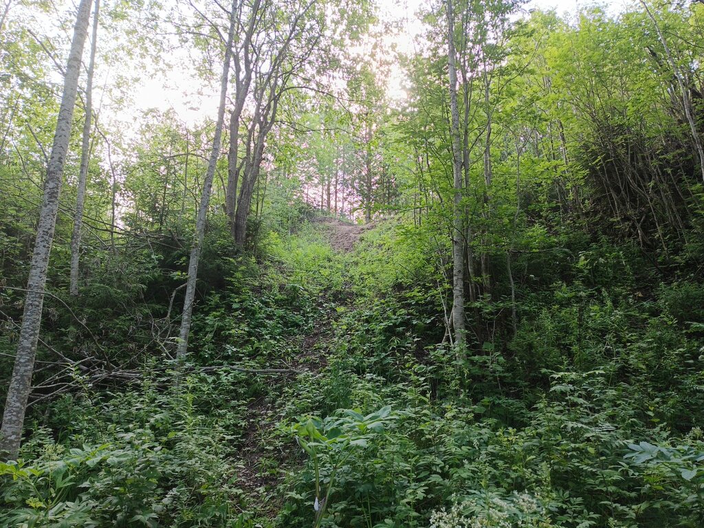 Turistik yerler Емецкий городок, Arhangelskaya oblastı, foto