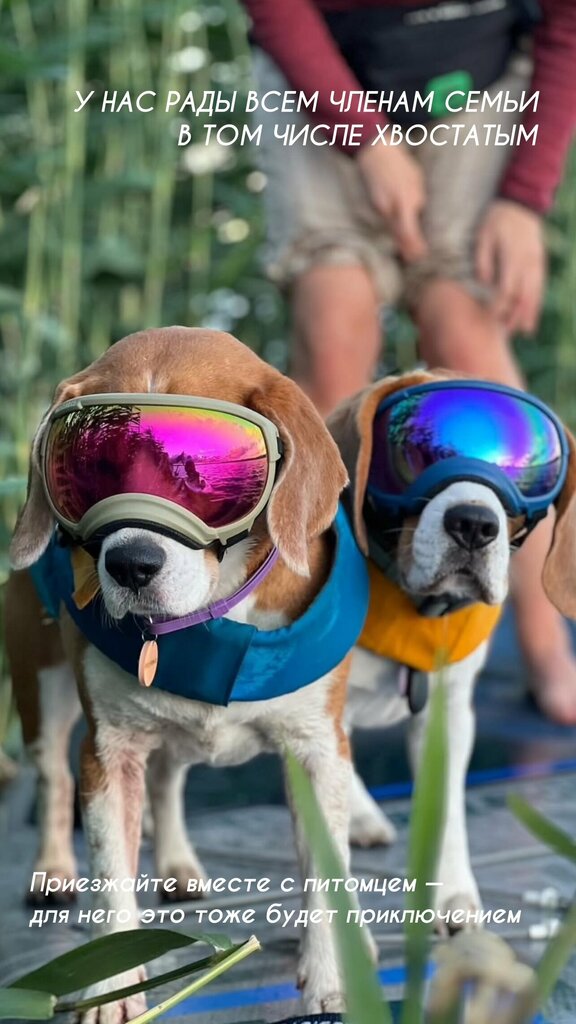 Kürek sörfü Sup Dot, Moskova, foto