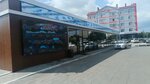 Toilet (Abay Avenue No:35А), tuvalet  Kostanay'dan