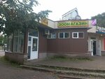 4 Лапы (Geroev Avenue No:28А), petshop  Sosnoviy Bor'dan