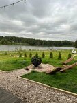 Катин Клёв (Polevaya ulitsa No:2/1, derevnya Golygino), glamping  Moskova ve Moskovskaya oblastından
