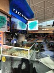 Seafood (Vavilova Street No:64/1с1), balık ve deniz ürünleri  Moskova'dan