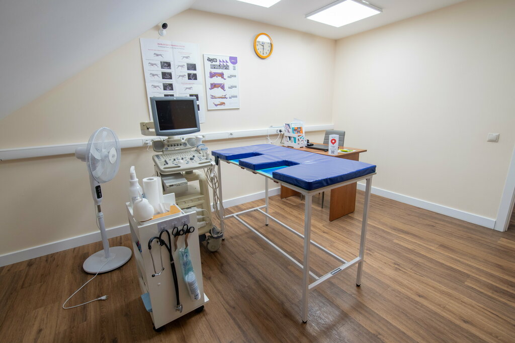 Veteriner klinikleri Pulse, Nijni Novgorod, foto