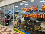Котопёс Псков (Yubileiynaya Street No:68), petshop  Pskov'dan