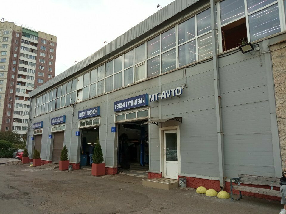 Sera ve bahçe ürünleri Succuterra, Saint‑Petersburg, foto