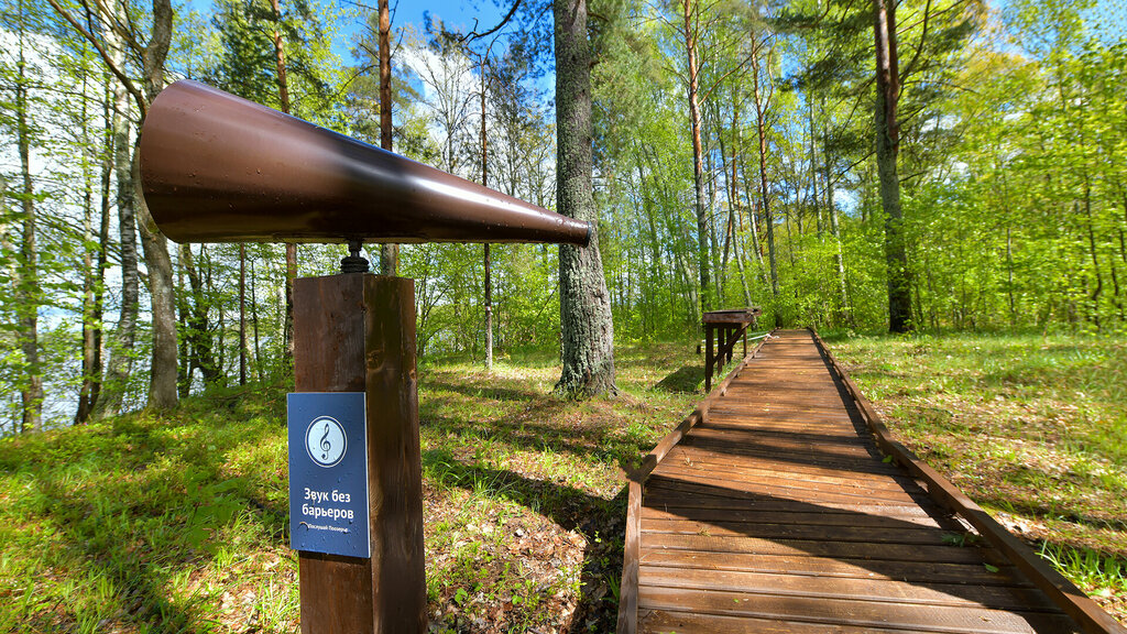 Doğa Экологический маршрут Поозерье без барьеров, Smolenskaya oblastı, foto