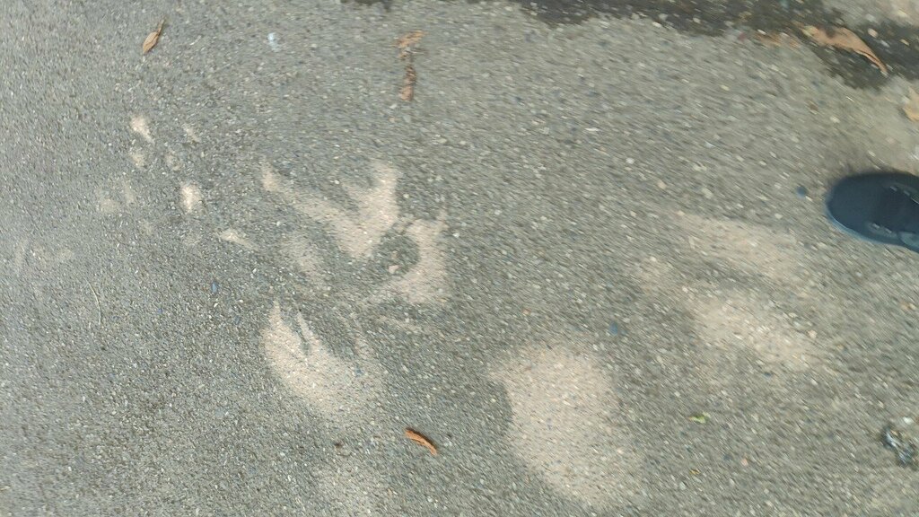 Oyun alanı Playground, Krasnodar, foto