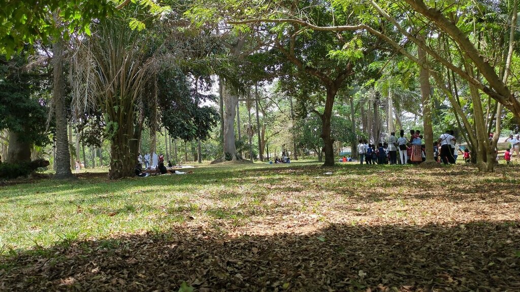 Kültür ve eğlence parkları Bingerville Botanical Garden, Dünya, foto