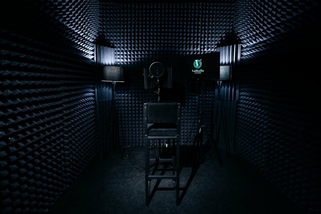 Müzik okulları ve konservatuarlar Valhalla Vocal Studio, Balaşiha, foto